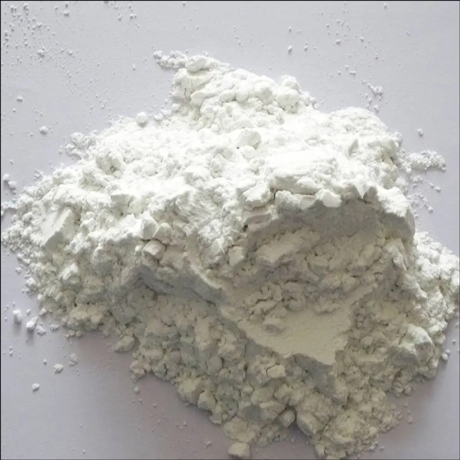 Diatomite: Đặc điểm và ứng dụng trong đời sống, công nghiệp