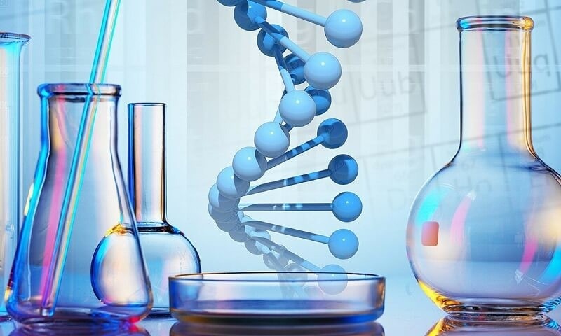 Anlyl Axetat: Công thức phân tử, tính chất và ứng dụng