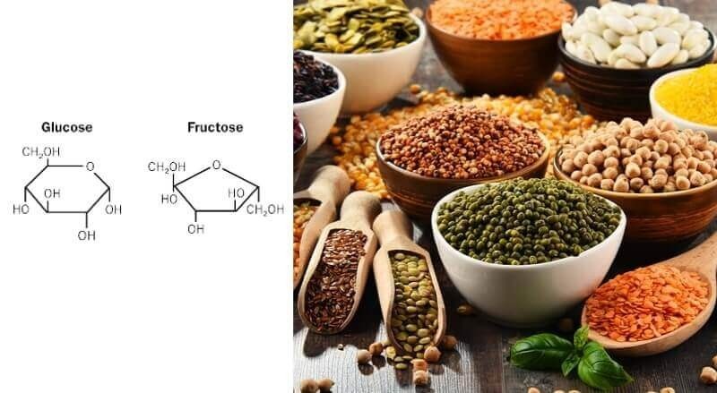 Gluxit là gì? Nguồn năng lượng chính cho cơ thể